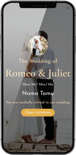 Undangan Digital Ulang Tahun Anak - Ze Invitation